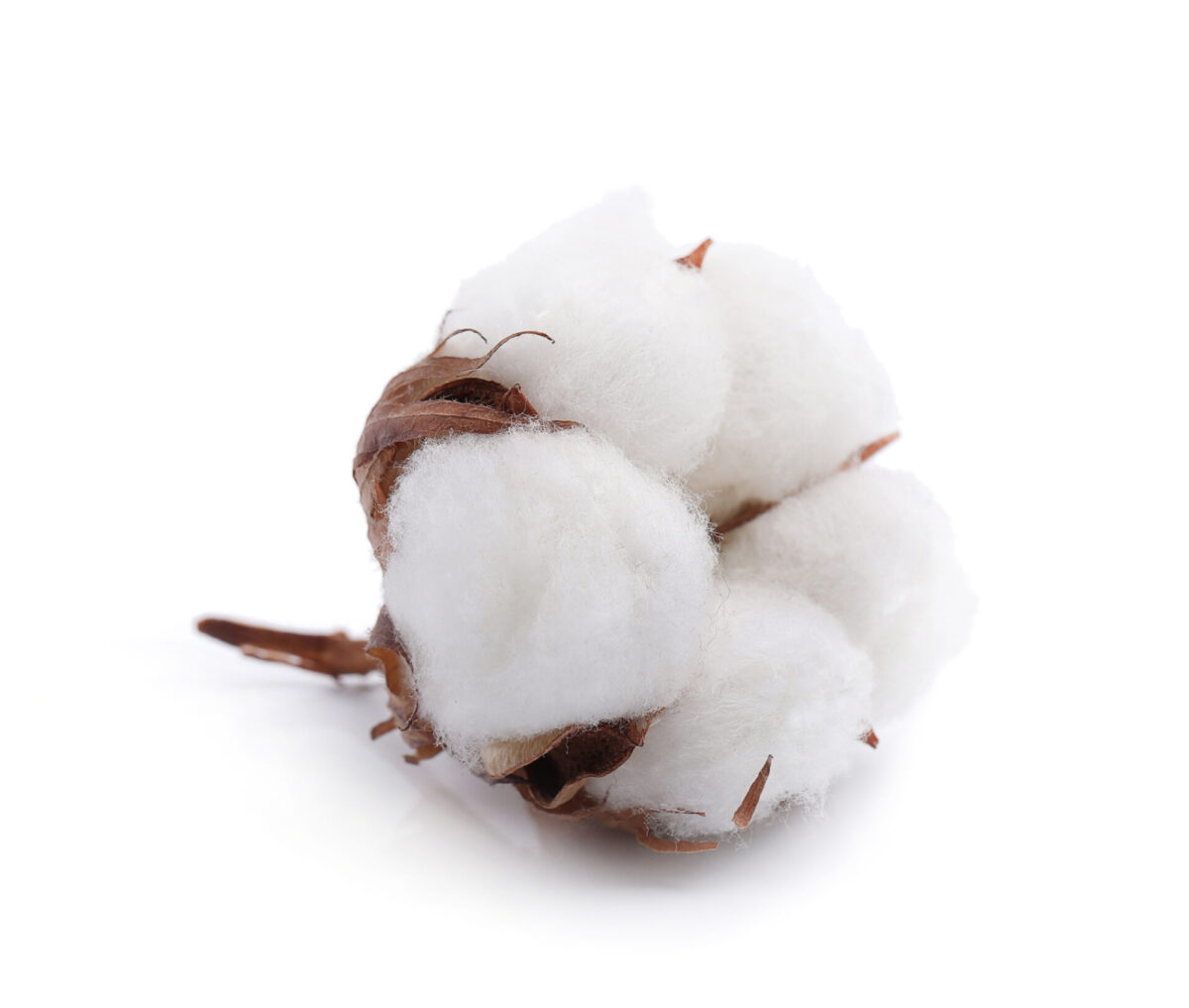 The Complete Guide to Cotton Fabric: Everything You Need