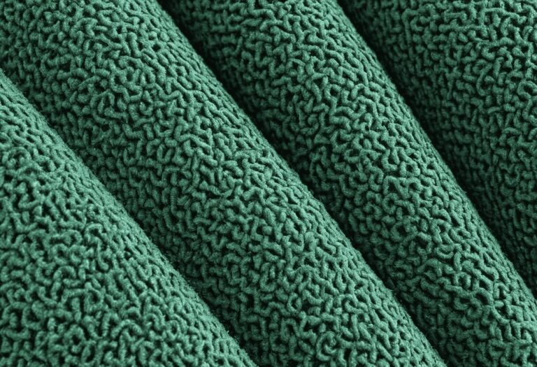 Silk Fabric: Types, Characteristics, and Uses